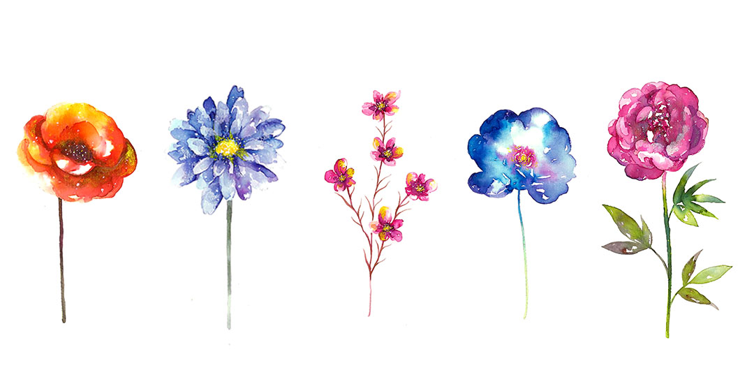 簡單墨水插畫課-花草插圖｜Accupass 活動通