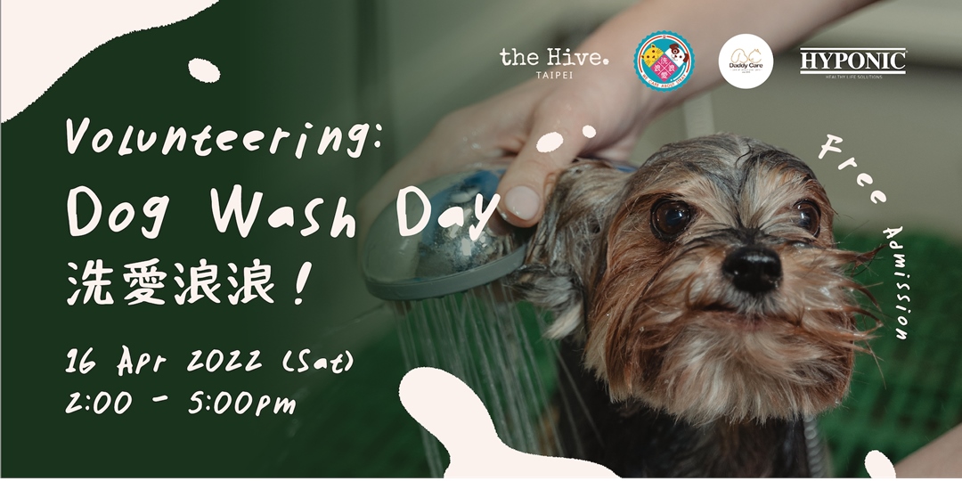Volunteer Dog Wash Day 洗愛浪浪！｜Accupass 活動通