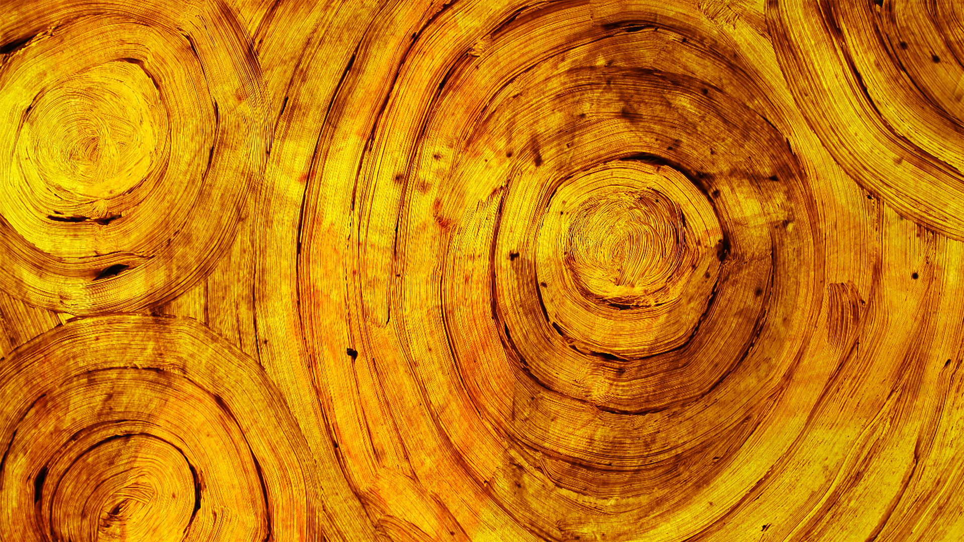 TIAF 觀察站：O!PLA 波蘭焦點｜Accupass 活動通