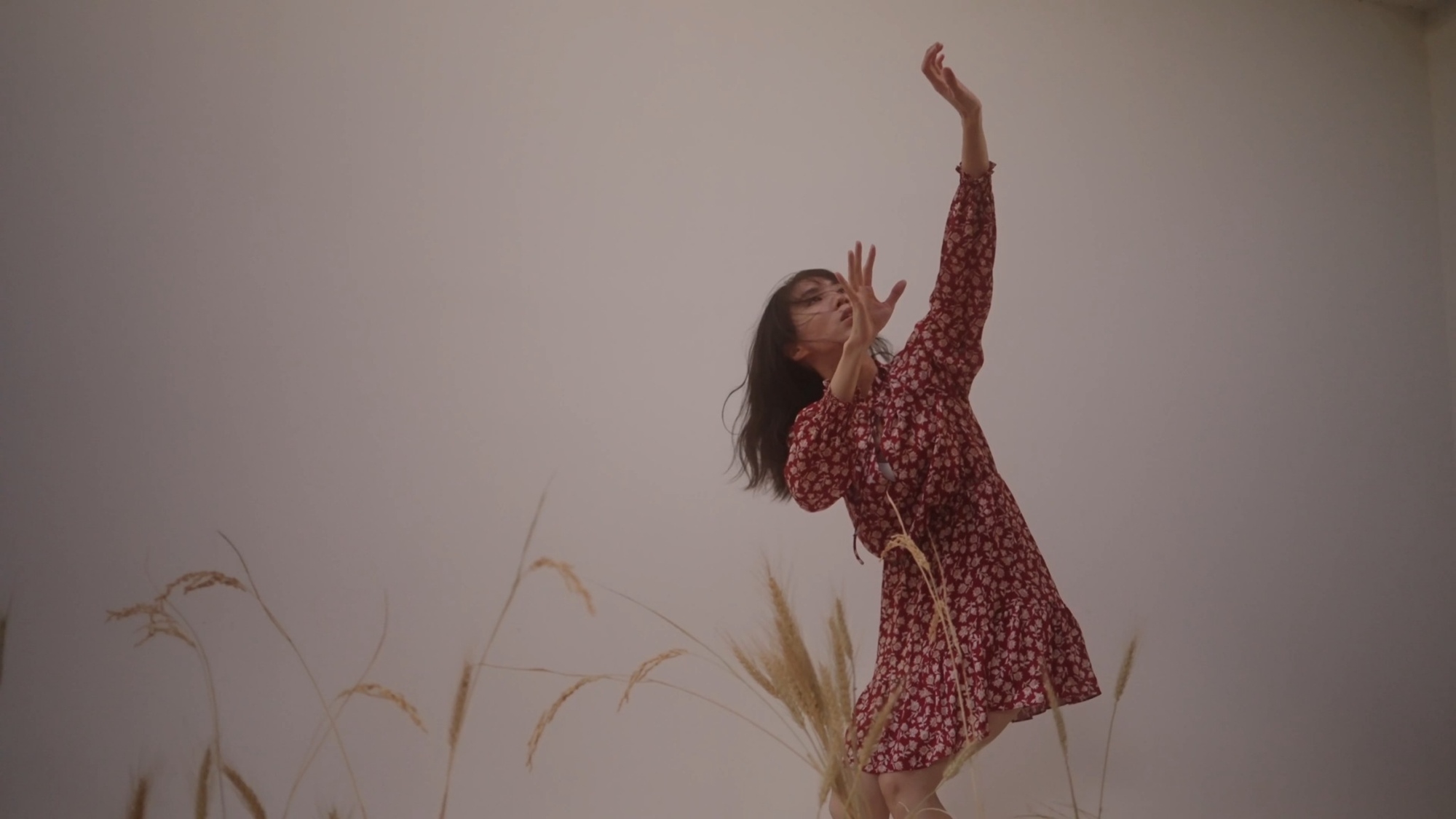 〈如果我是一名舞者〉體驗時光｜12月份｜ If being a dancer - Experience time. Nov.｜Accupass 活動通