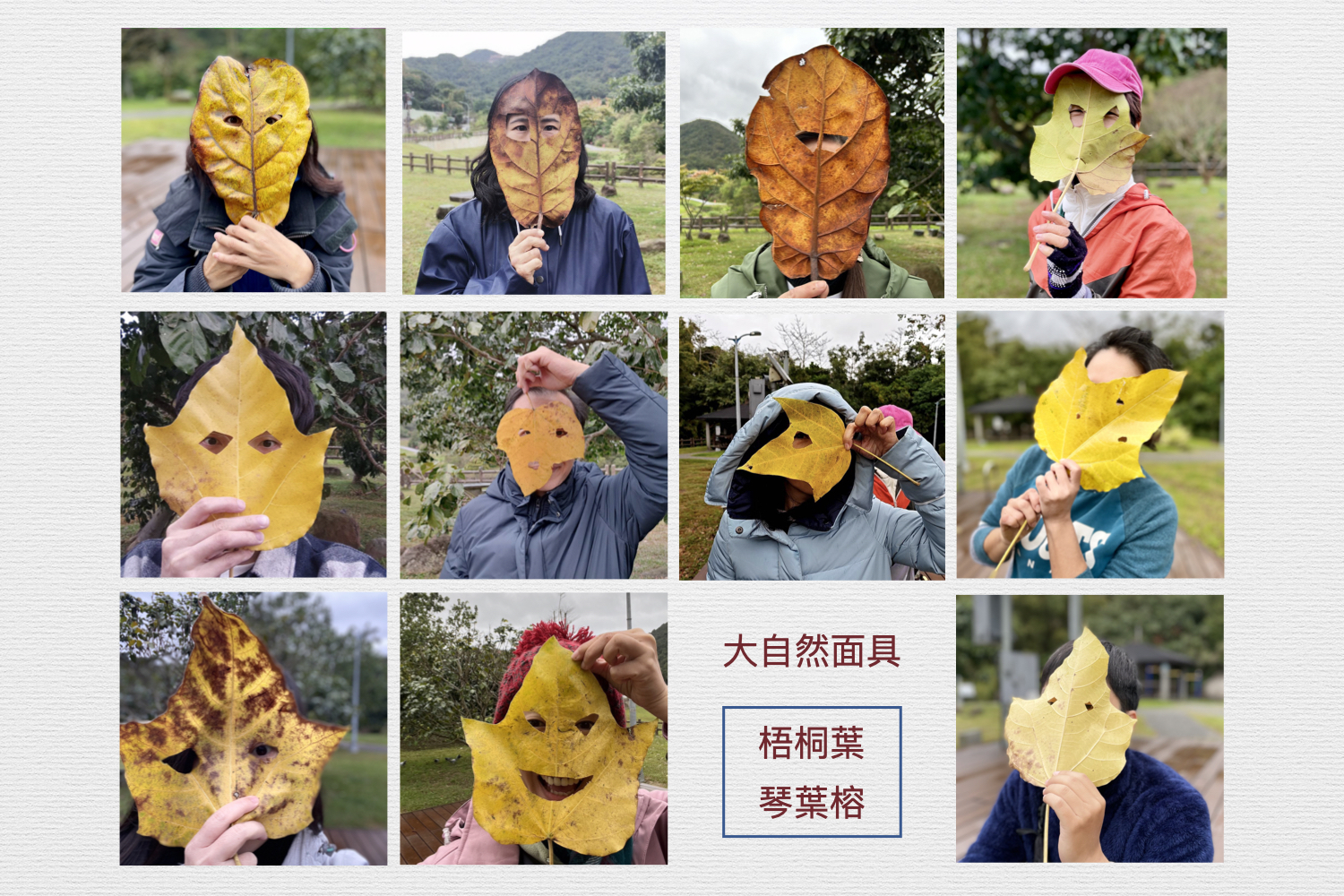 【森林療癒｜水森活｜幸福旅成｜圓覺瀑布｜6.7】｜Accupass 活動通