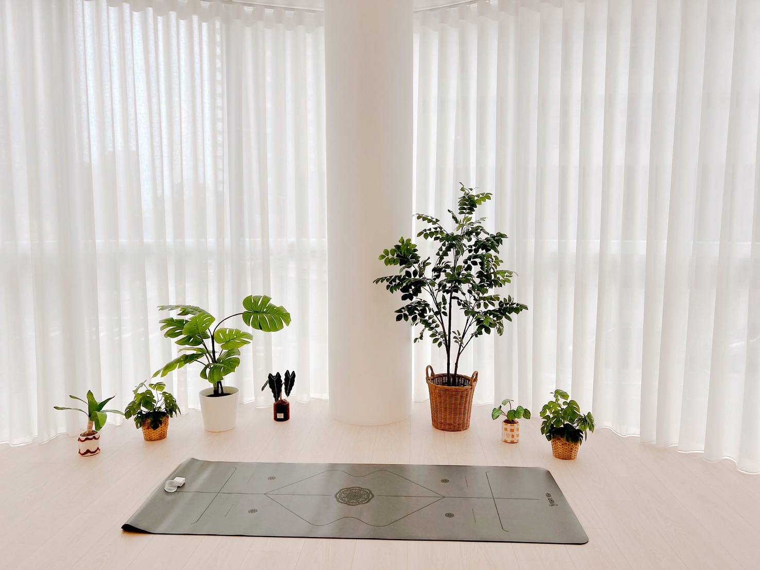 Yogar Yoga瑜見春日|復甦舒展瑜珈x糖霜彩蛋DIY ｜ACCUPASS 活動通