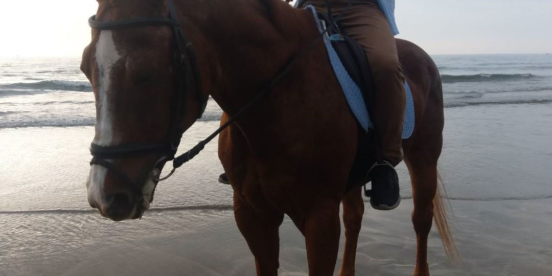 bbbbbbbbbbb｜Accupass 活動通