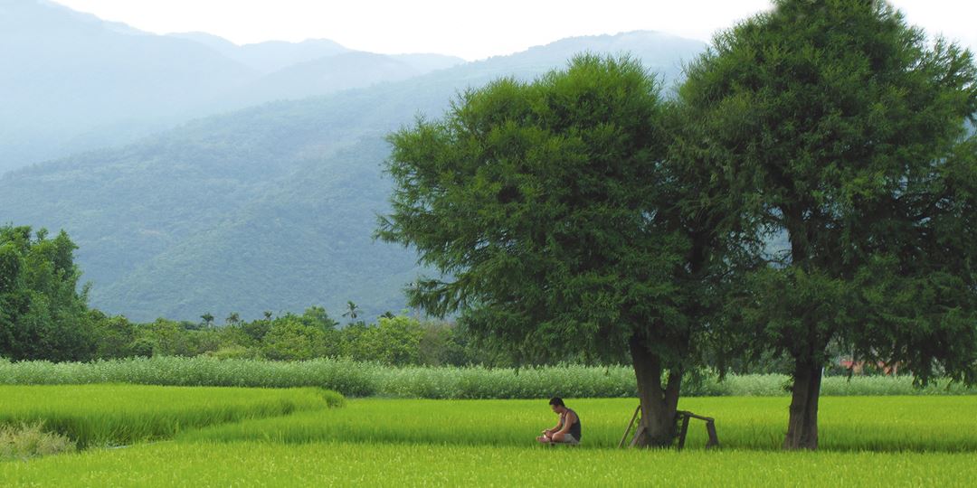「歌劇院電影院」國藝二十 藝術紀錄片獎助成果展（四）黃聲遠在田中央 Huang Sheng-Yuan in the Fields ...